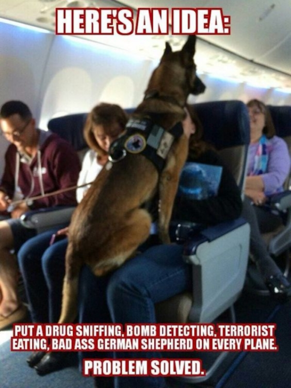 Memes Dogs Brave Military Service K9 Up Lifting Photo Compilation 2025