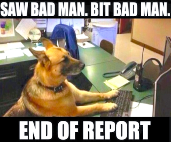 Memes Dogs Brave Military Service K9 Up Lifting Photo Compilation 2025