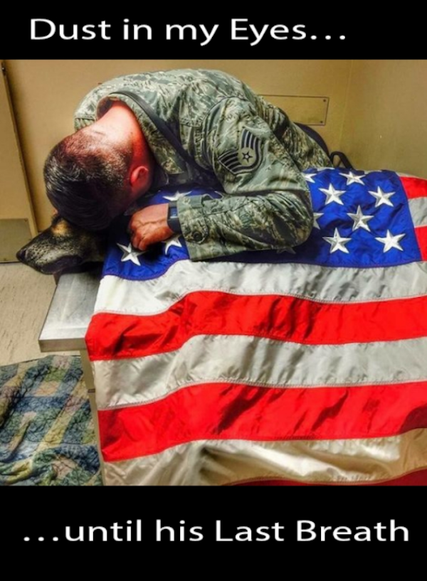 Memes Dogs Brave Military Service K9 Up Lifting Photo Compilation 2025