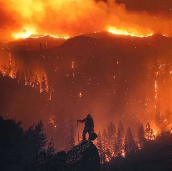 Firefighter Heroes in Action Best Inspirational Photos GIFs 2025