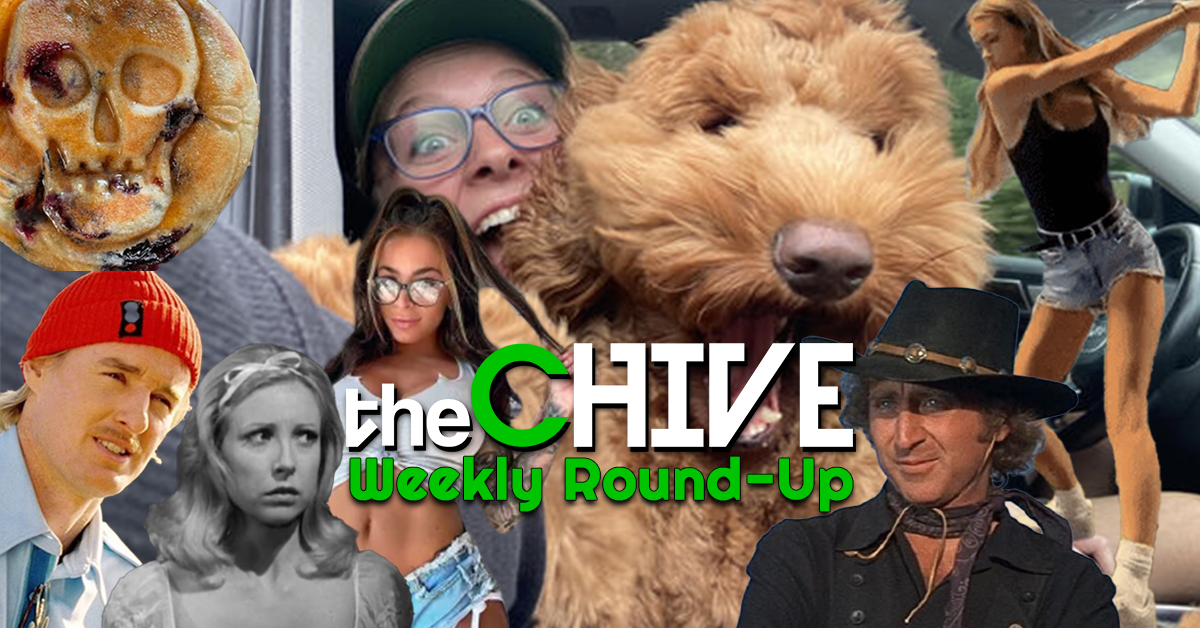 Chive Nation