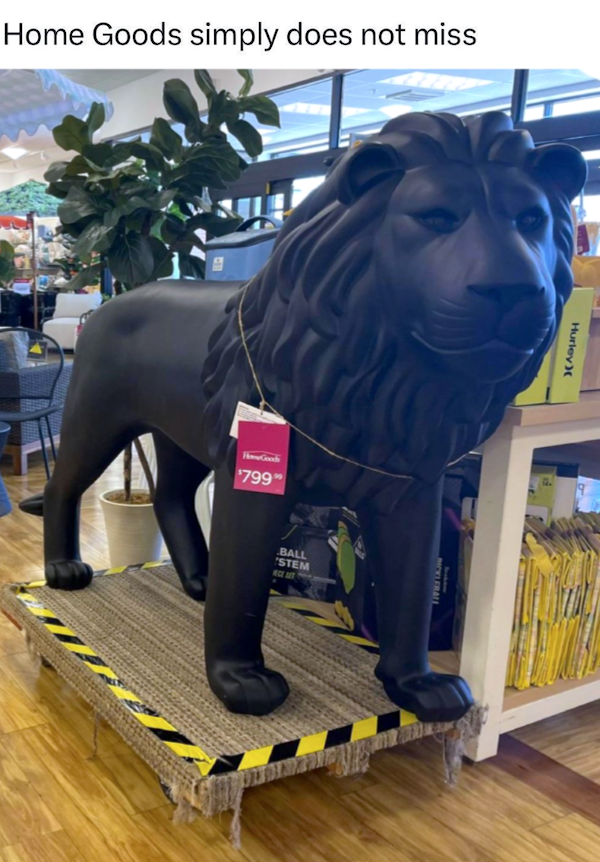 Mind-LESS morning Memes are Funny Stupid yet Too TRUE Monday Logic