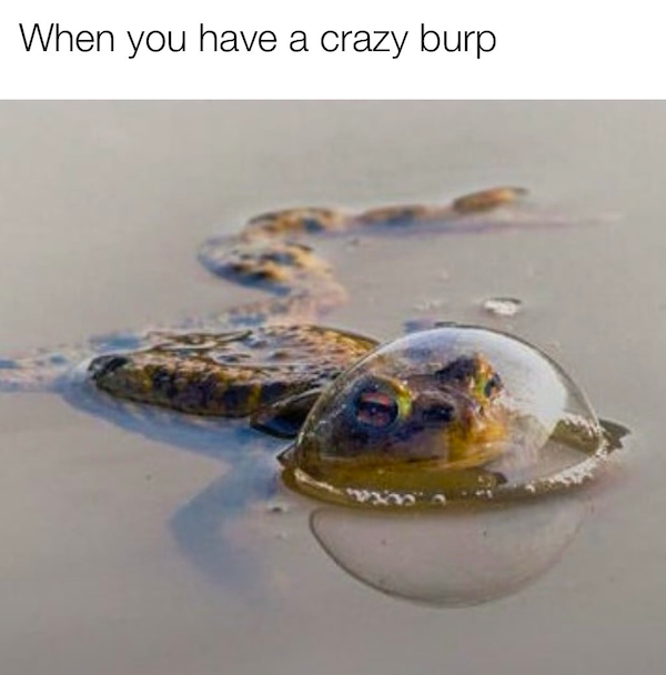 Mind-LESS morning Memes are Funny Stupid yet Too TRUE Monday Logic