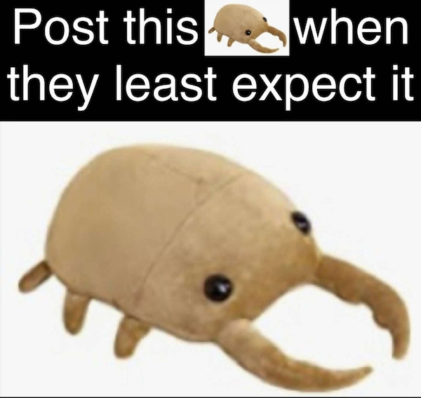 Mind-LESS morning Memes are Funny Stupid yet Too TRUE Monday Logic