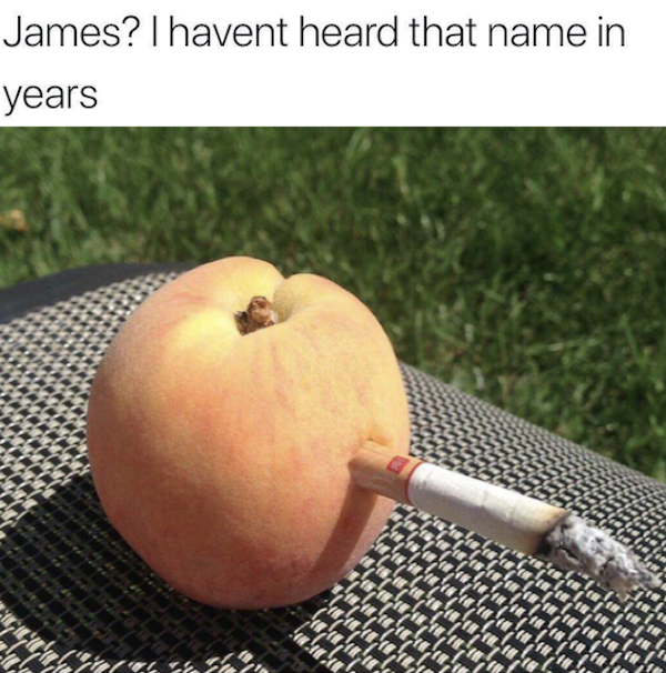 Memes Not Wrong but Lack Logic yet Too True Photos Compilation