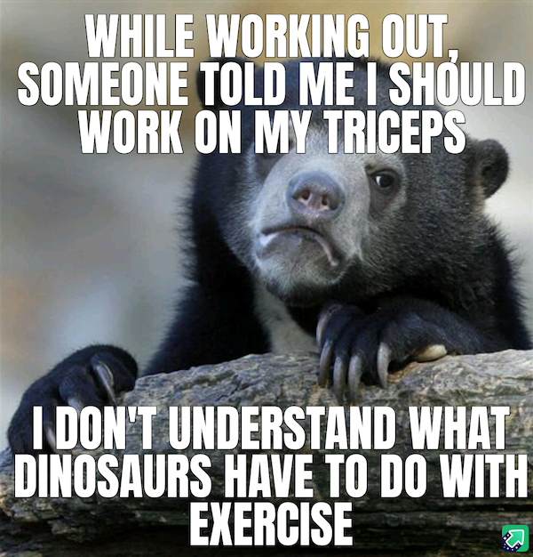 Memes Not Wrong but Lack Logic yet Too True Photos Compilation