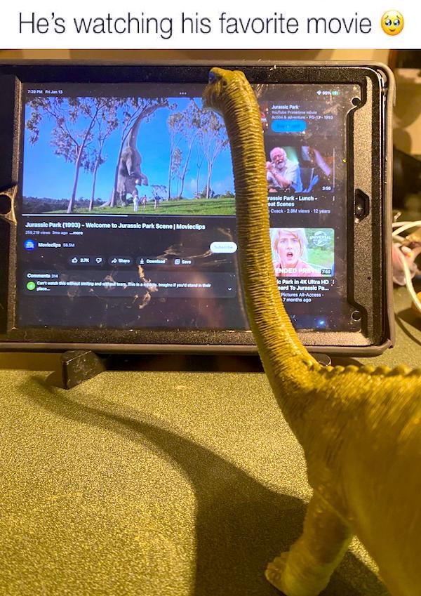 Memes Not Wrong but Lack Logic yet Too True Photos Compilation