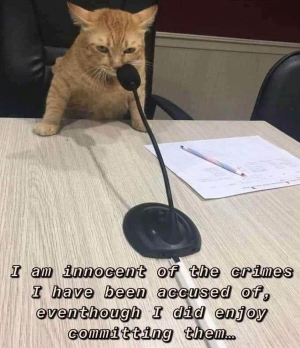 Memes Not Wrong but Lack Logic yet Too True Photos Compilation