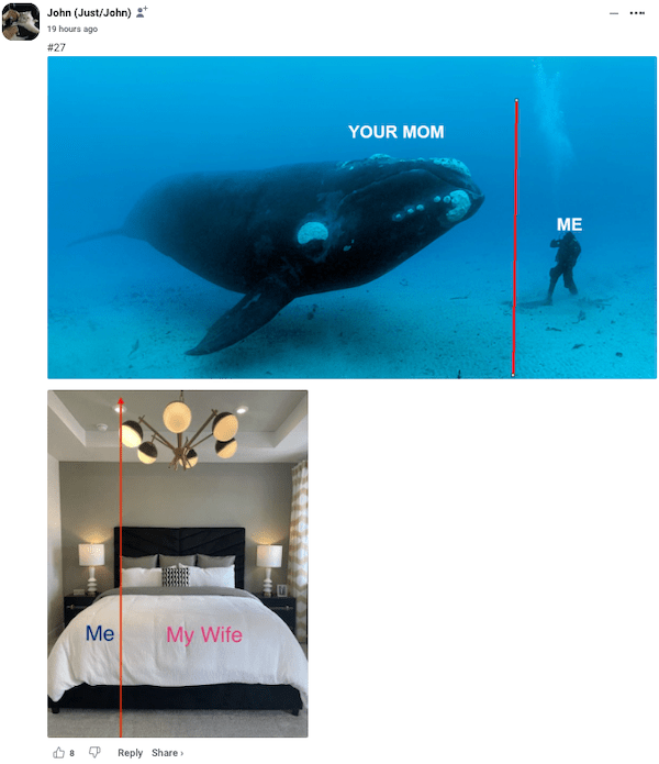 Top Comments of the week are the most creative thing found online