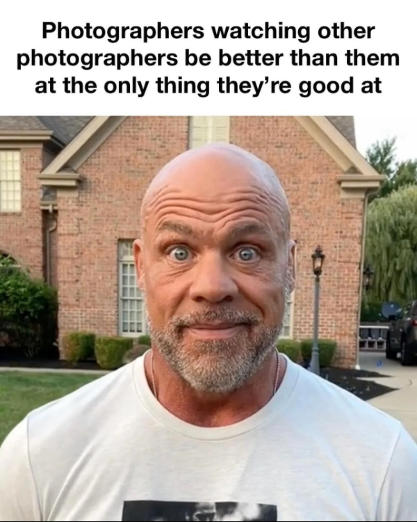 Dank Memes Are the Cure for the Blues