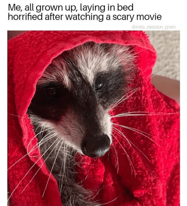 Horror Memes That’ll Chill You to the Funny Bone