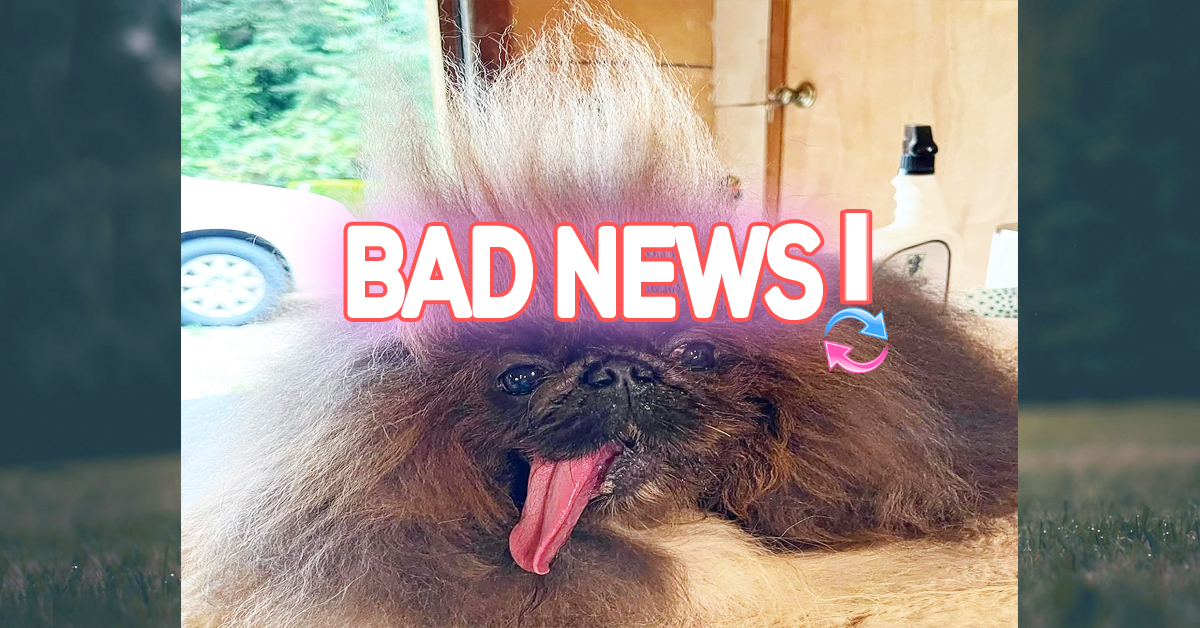 Epic Fails | Funny Fail Memes, Videos, and Pics - theCHIVE