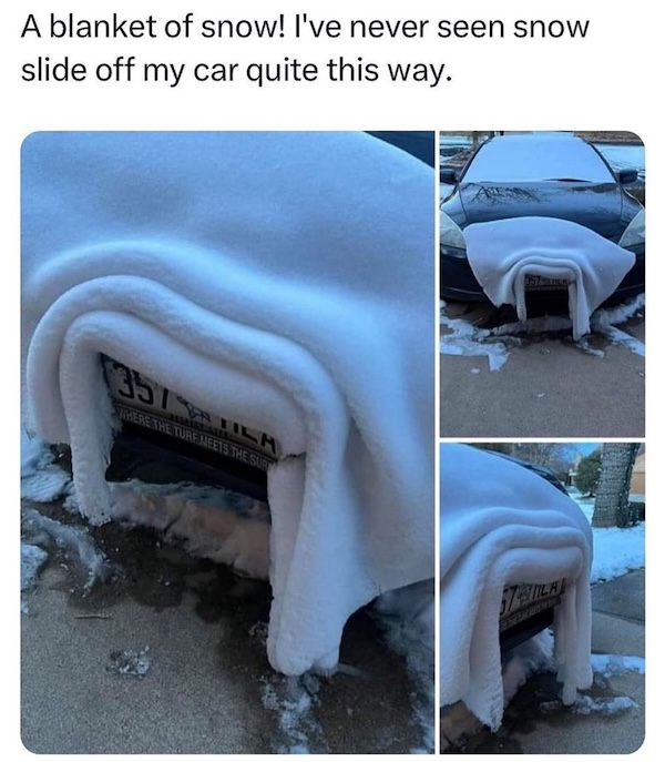 Wintery Photos & Funnies for a Southern Snow Day (28 Photos)