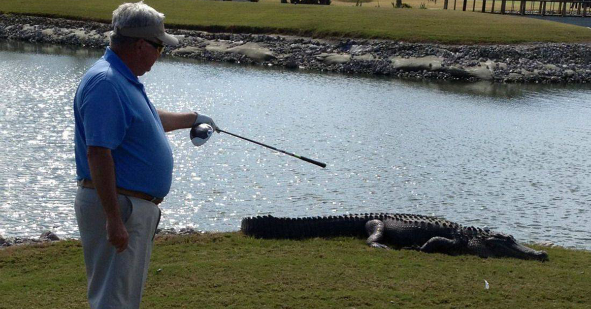 theCHIVE - Funny Pictures, Photos, Memes & Videos – theCHIVE.com