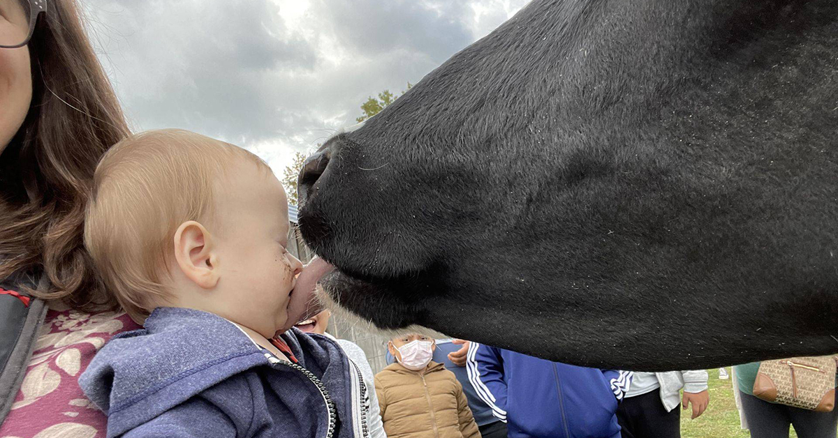 Daily Morning Awesomeness | Awesome Morning Pics, Gifs & More - theCHIVE