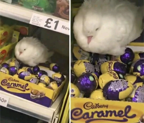 Hmmm... I’m Confused Yet Intrigued