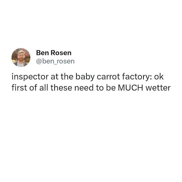 Silly Stupid Memes for Snoozy Saturday Sloths (32 Photos)