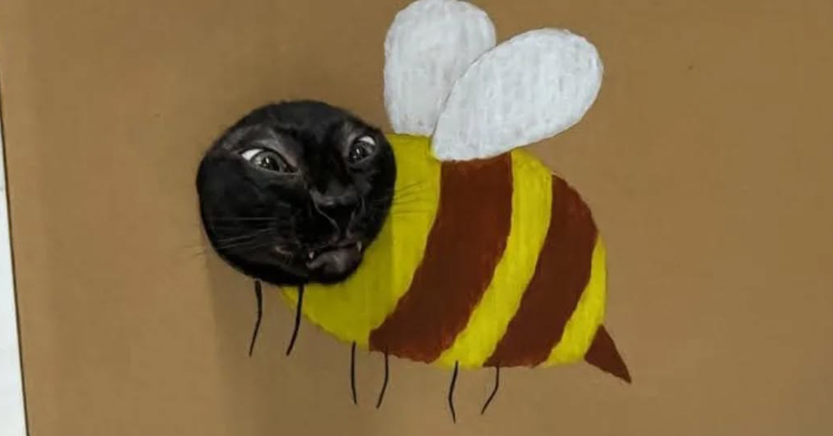 Daily Afternoon Randomness | Random Memes, Photos & Gifs - theCHIVE