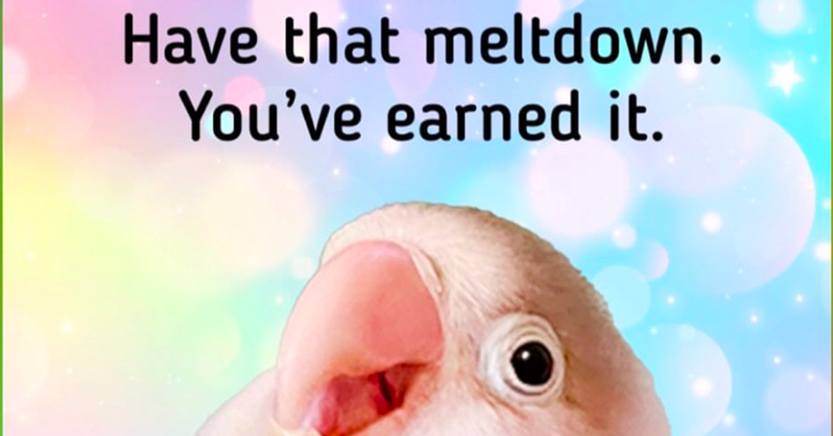 Daily Afternoon Randomness | Random Memes, Photos & Gifs - theCHIVE