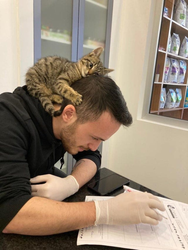 Welcome to the First Cat Saturday of the Year!