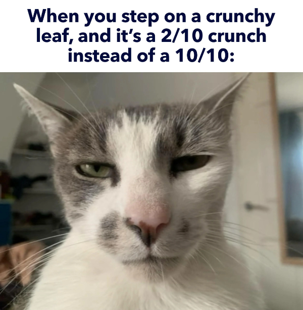 Dank Memes Give Me Life