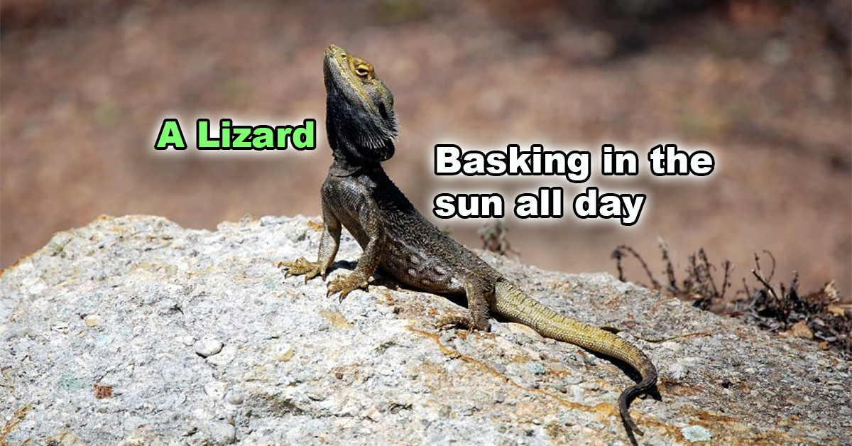 Humanity Photos, Memes & Videos - theCHIVE