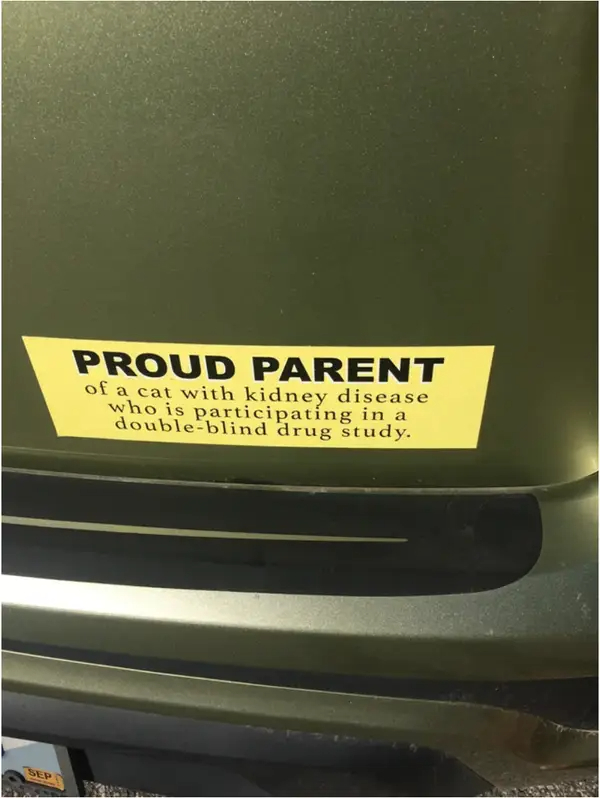 Bumper Stickers That’re Worth a Chuckle