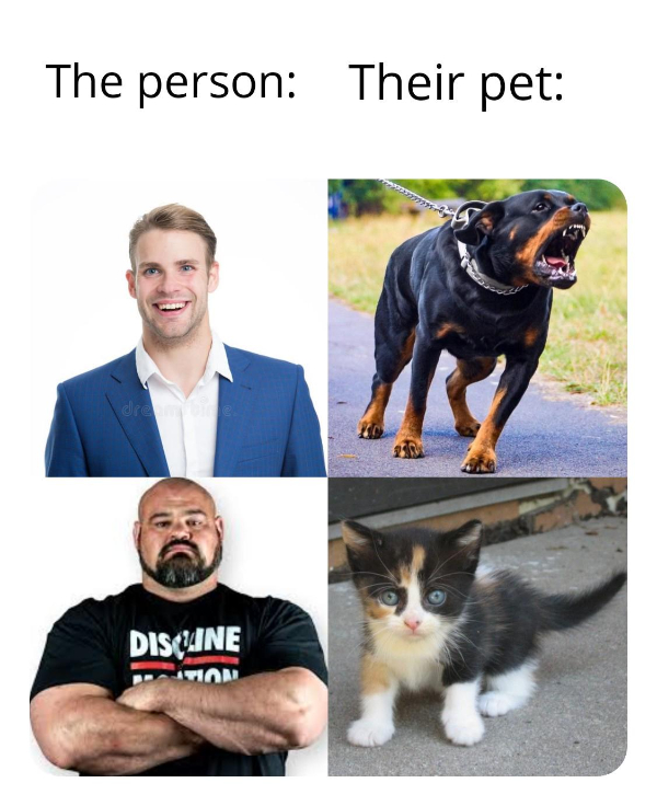 Here! Rest Up With Some Dank Memes