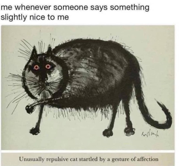 Welcome to the First Cat Saturday of the Year!