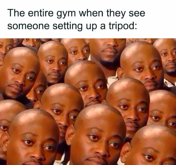 Gym Memes Are an Ab Workout