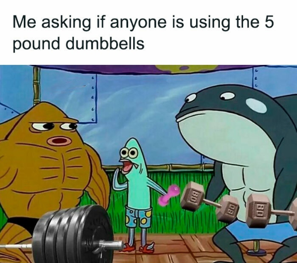 Gym Memes Are an Ab Workout