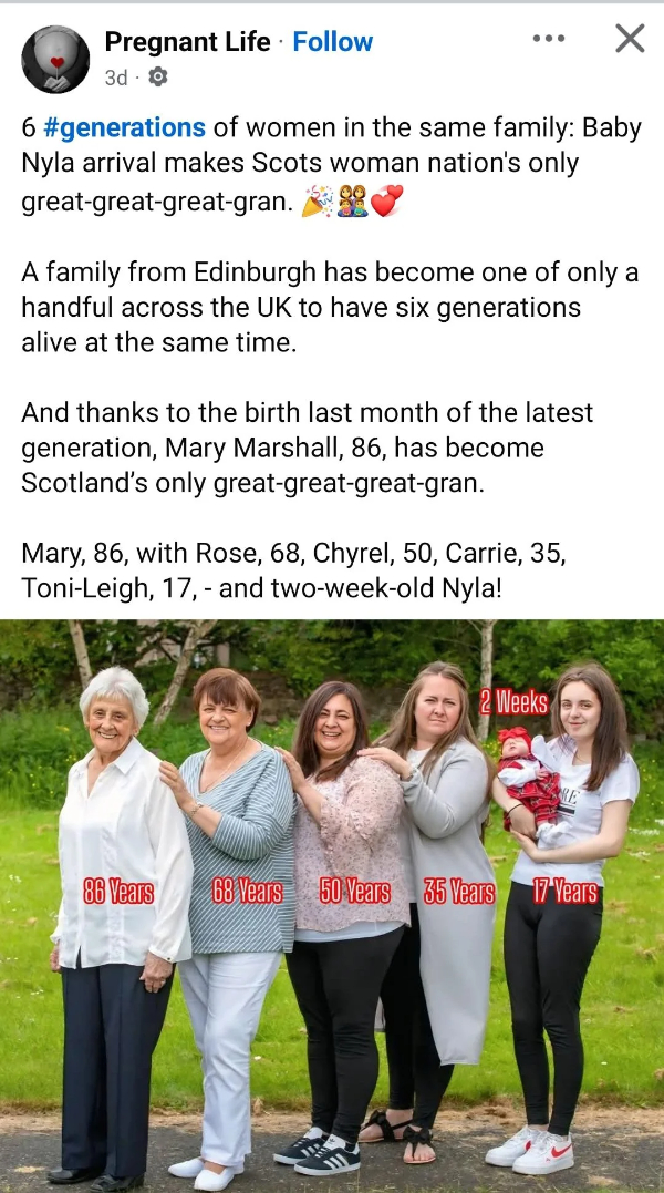 Whoa Whoa Wait a Damn Minute!