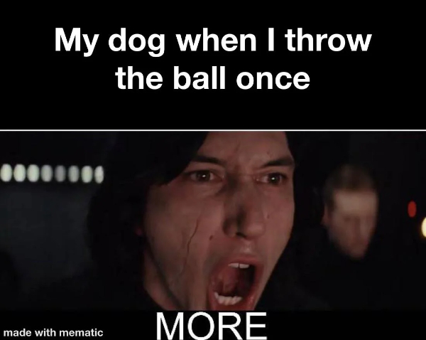 Dank Memes Are Callin’ My Name