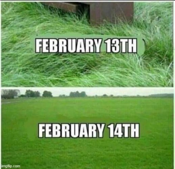 Beer-a-FULL Memes Funny Drinking Friday Pics Stupid Wis-DUMB Ideas