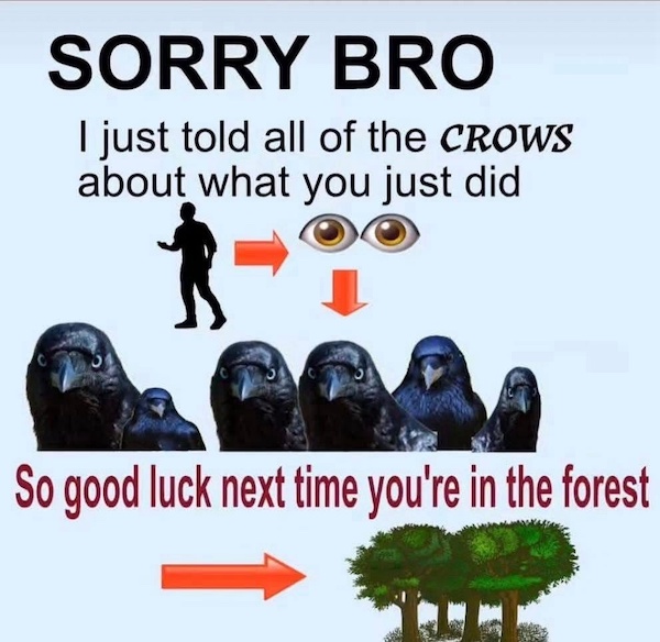 Beer-a-FULL Memes Funny Drinking Friday Pics Stupid Wis-DUMB Ideas