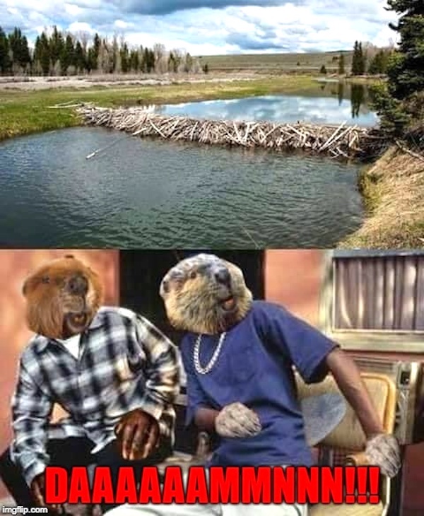 Cheesy Memes Funny Morning Photo Captions Best Randomness Pictures