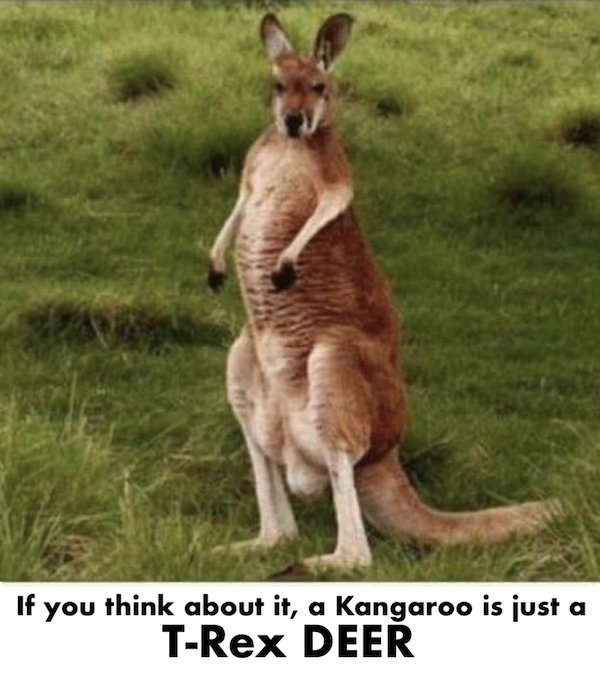 CHEESY memes on a “Monday SUCKs” morning (39 Photos)