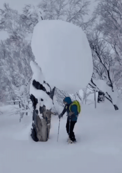 GIFs Snow FAILs and Funny Dumb Winter People Best Ice Cold Humor 2025