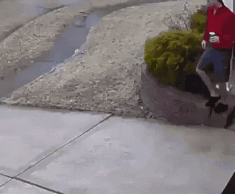 GIFs Snow FAILs and Funny Dumb Winter People Best Ice Cold Humor 2025