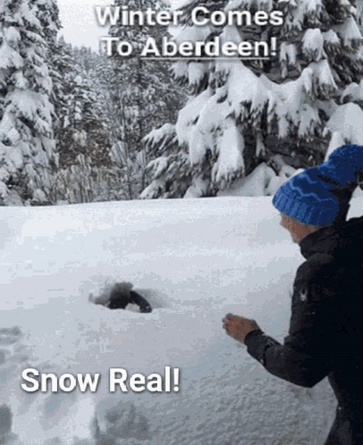 GIFs Snow FAILs and Funny Dumb Winter People Best Ice Cold Humor 2025