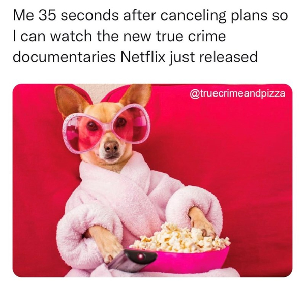 True Crime Memes Solved My Boredom