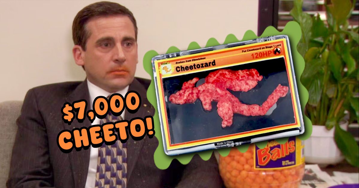 Nostalgia: Fun Pics from the 70s, 80s, & 90s - theCHIVE