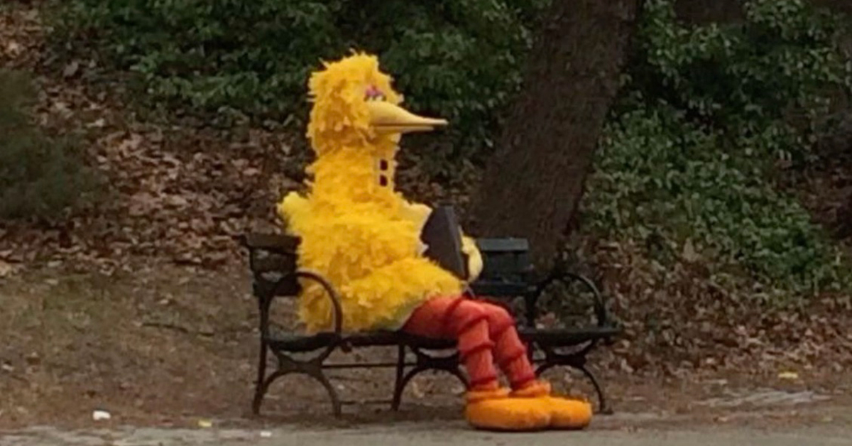 Life can be depressing from time to time, and all you can do is laugh