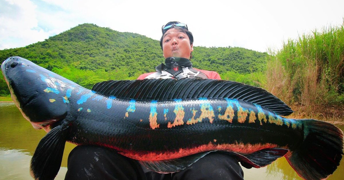 Daily Morning Awesomeness | Awesome Morning Pics, Gifs & More - theCHIVE