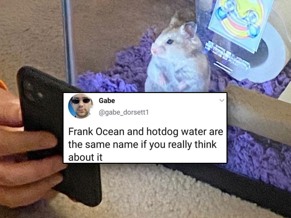 Stupid Memes 4 Dummies (30 Photos)