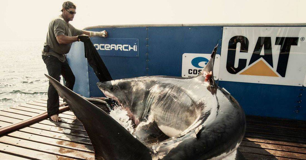 Life escalated far quicker than these folks ever could've imagined!