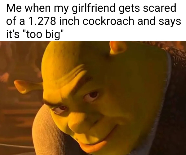 Dank Memes Are Callin’ My Name