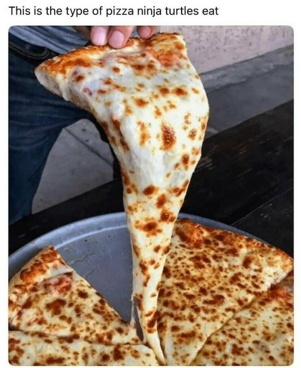 The truth and nothing but the hilarious truth