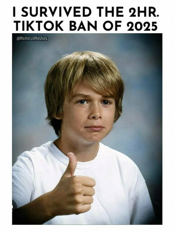 The truth and nothing but the hilarious truth