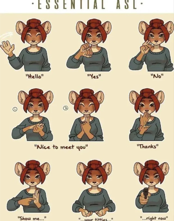 Whoa Whoa Wait a Damn Minute!